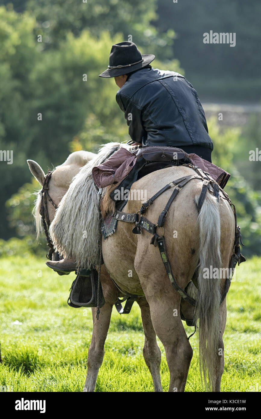 May 27, 2017 Sangolqui, Ecuador: tired cowboy on horse back during a ...