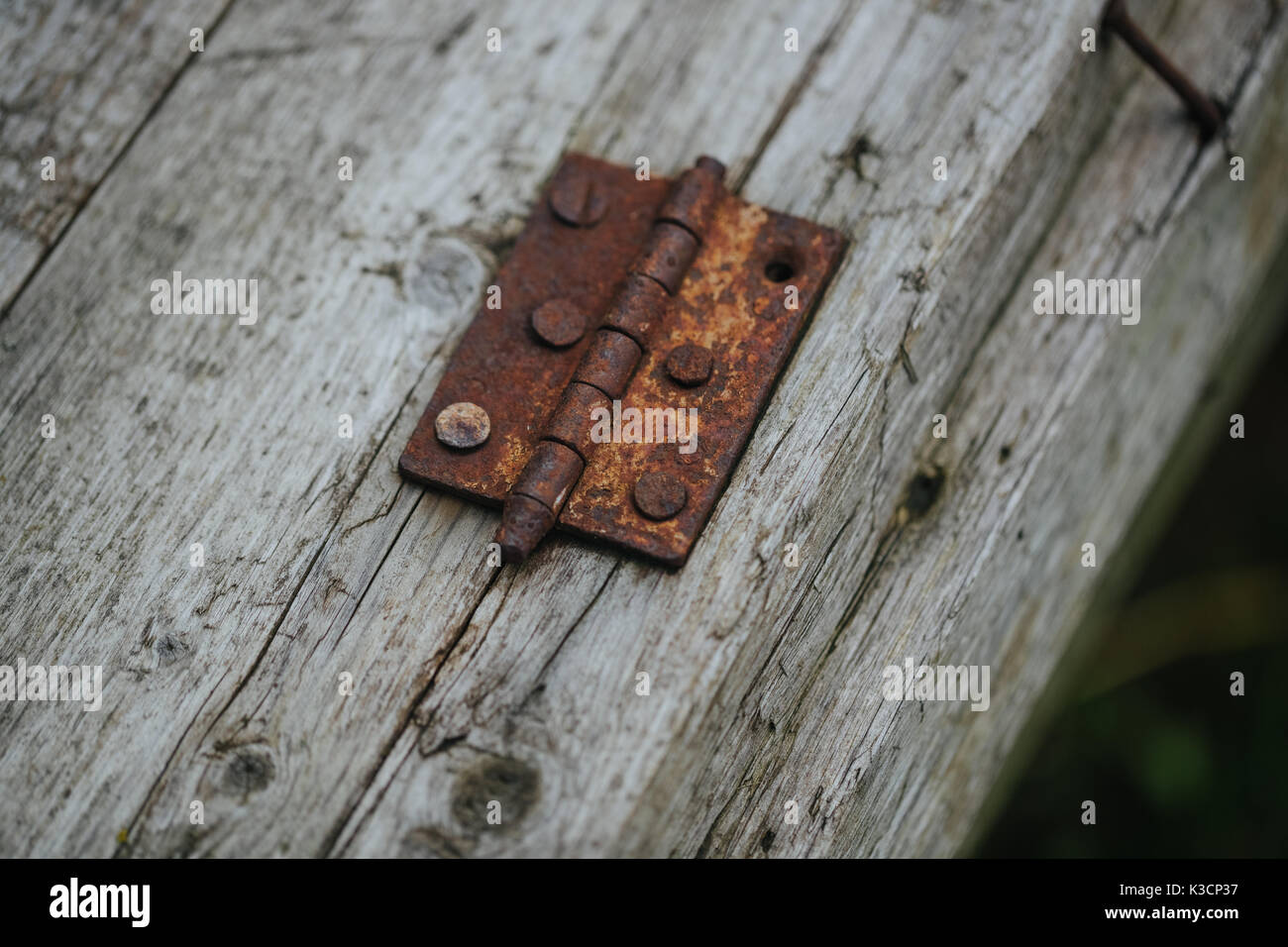 Old and rusty door hinge on a wooden door Stock Photo - Alamy