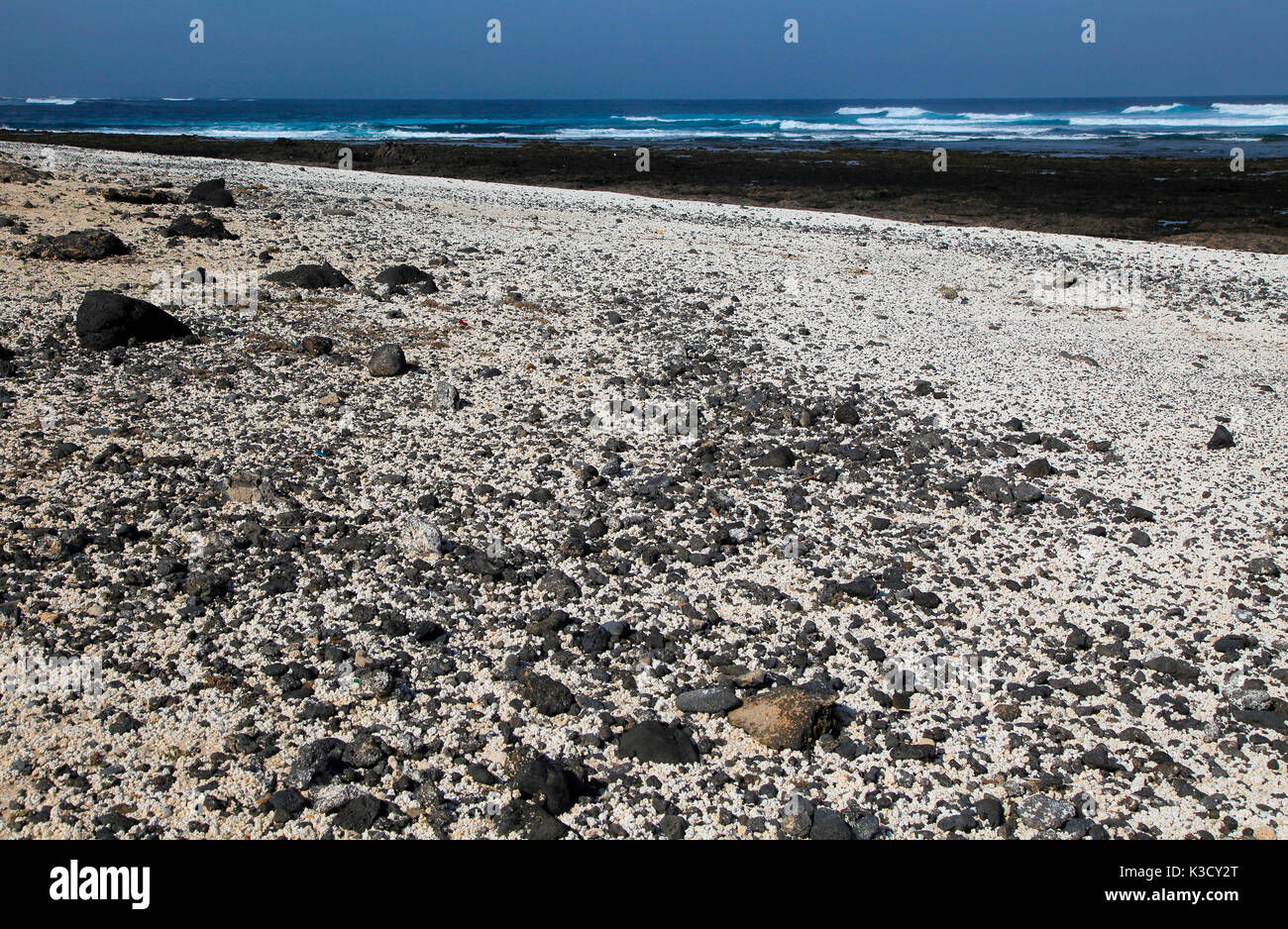 Beach of white crushed coral, near Corralejo on north coast of ...