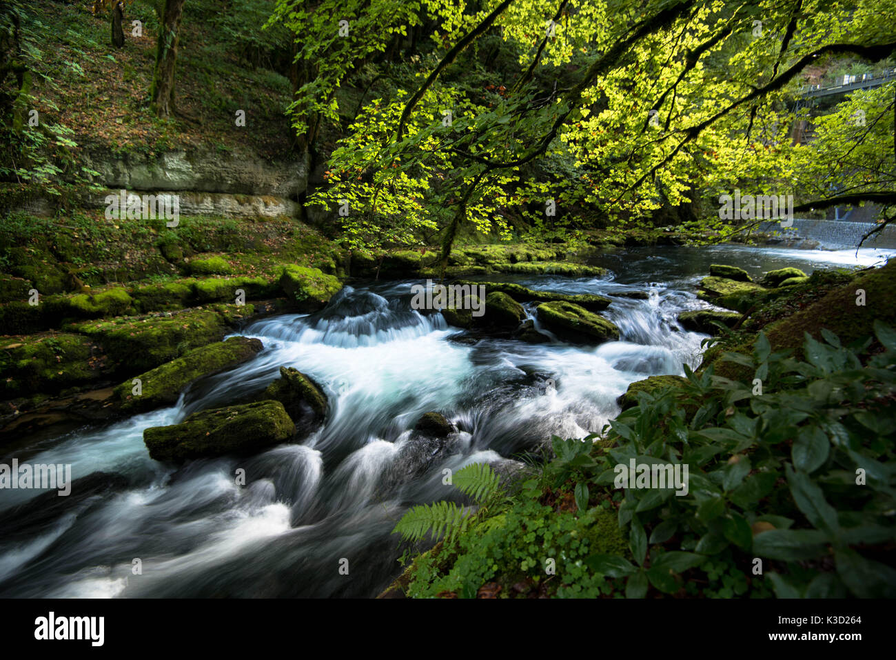 River loue hi-res stock photography and images - Alamy