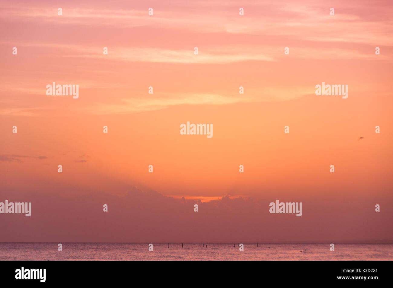 Sunset on the coast of the Caribbean Sea. Dominican sunset Stock Photo ...