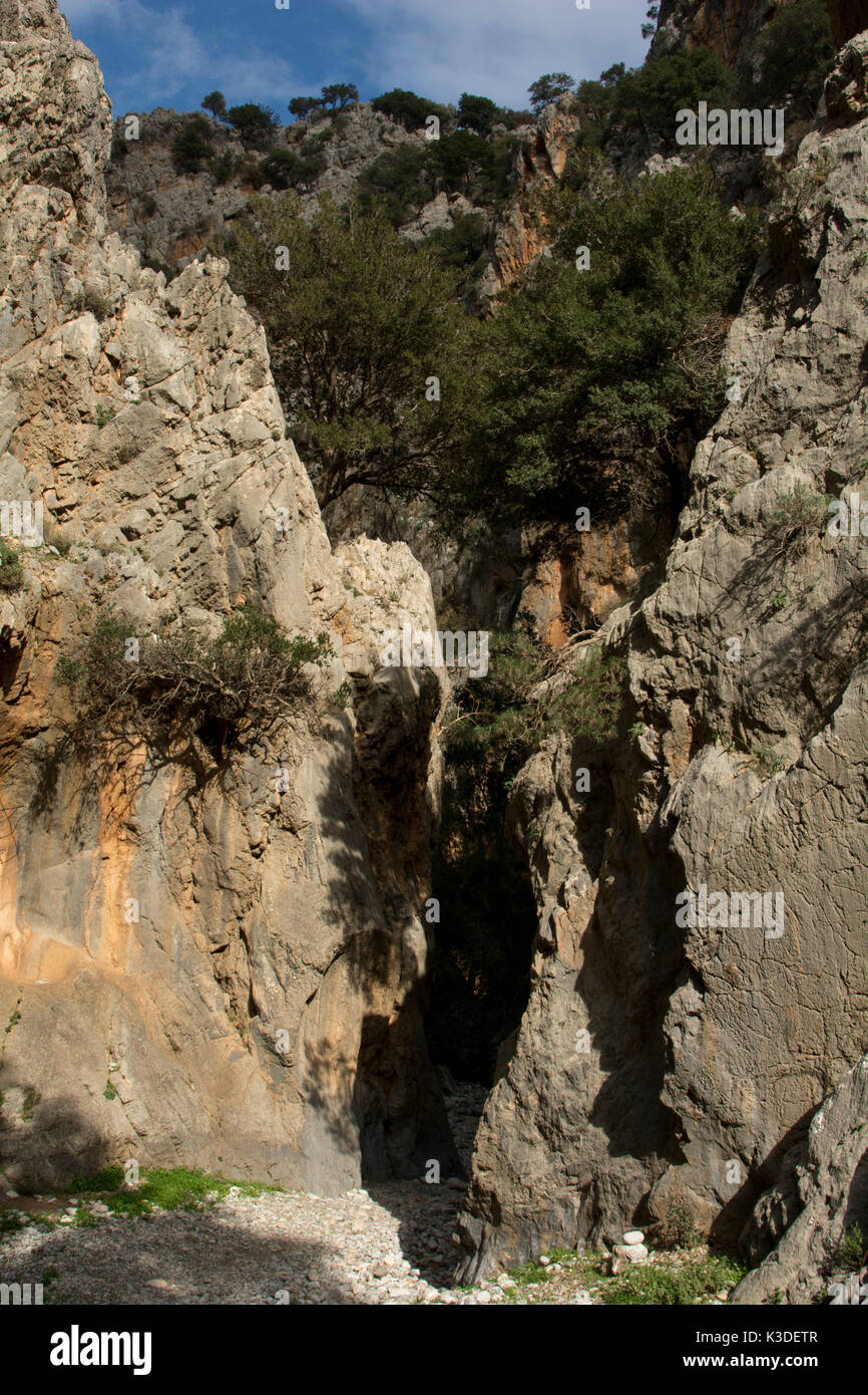 Kritsa Gorge is a narrow limestone canyon running near the town of ...