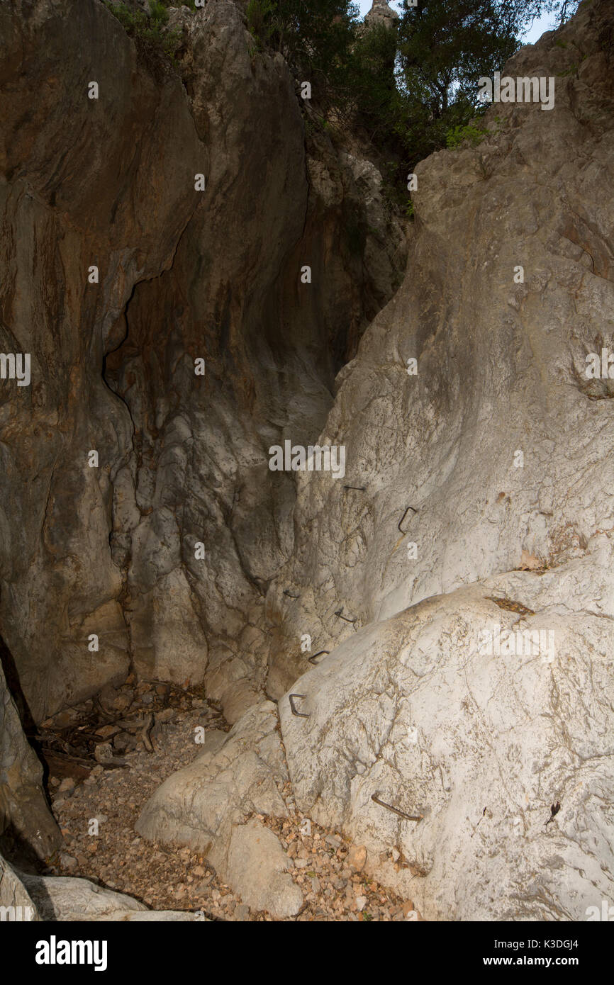 Kritsa Gorge is a narrow limestone canyon running near the town of ...