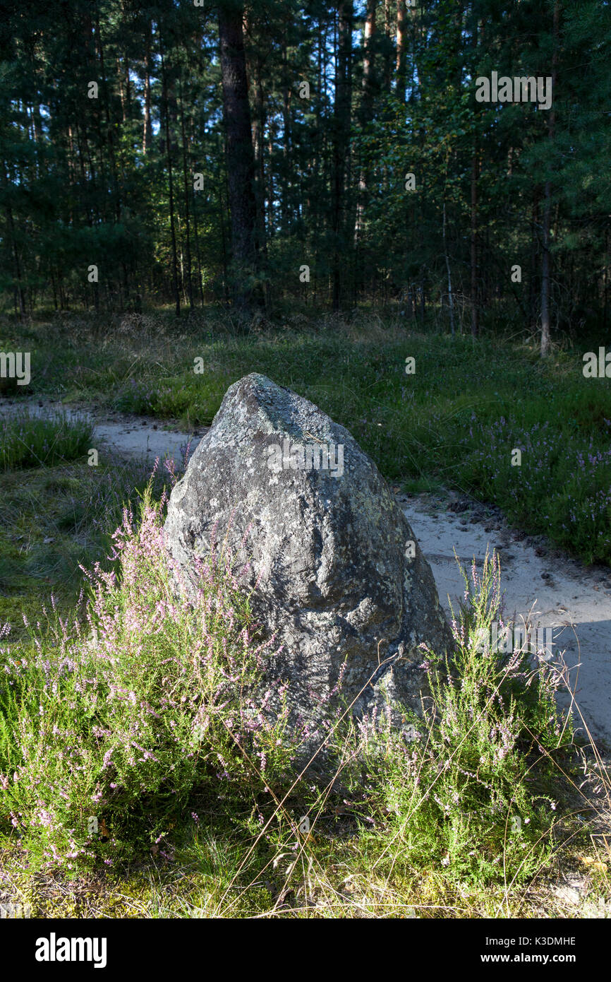 Kregi kamienne hi-res stock photography and images - Alamy