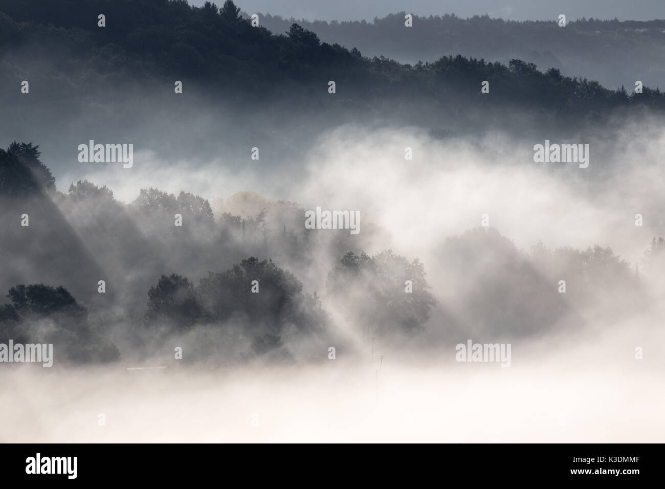 Powerful sun rays cutting through the fog and projecting shadows of ...