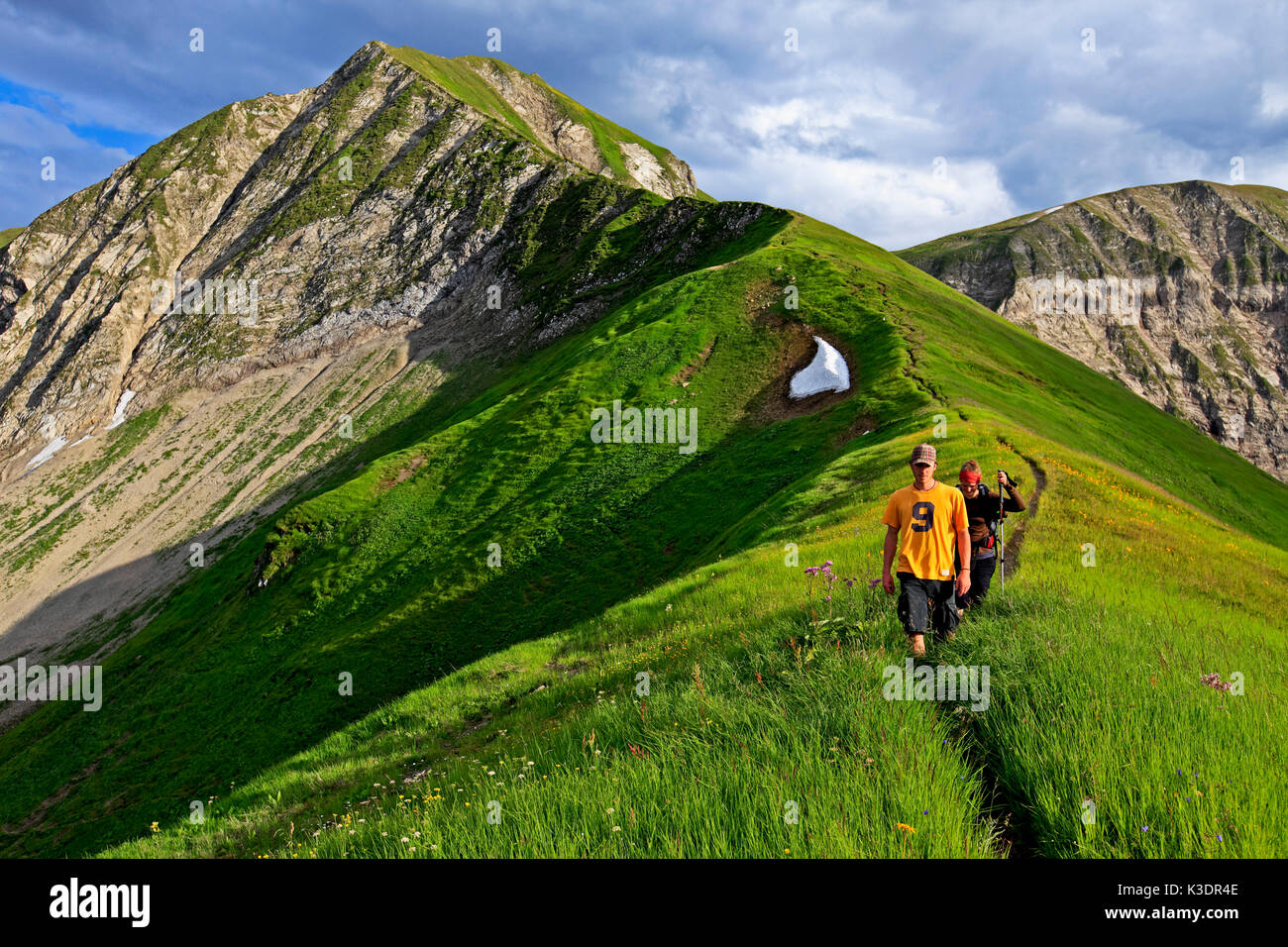 Germany, Bavaria, Allgäu, upper Allgäu, Allgäuer alps, Allgäuer main ...