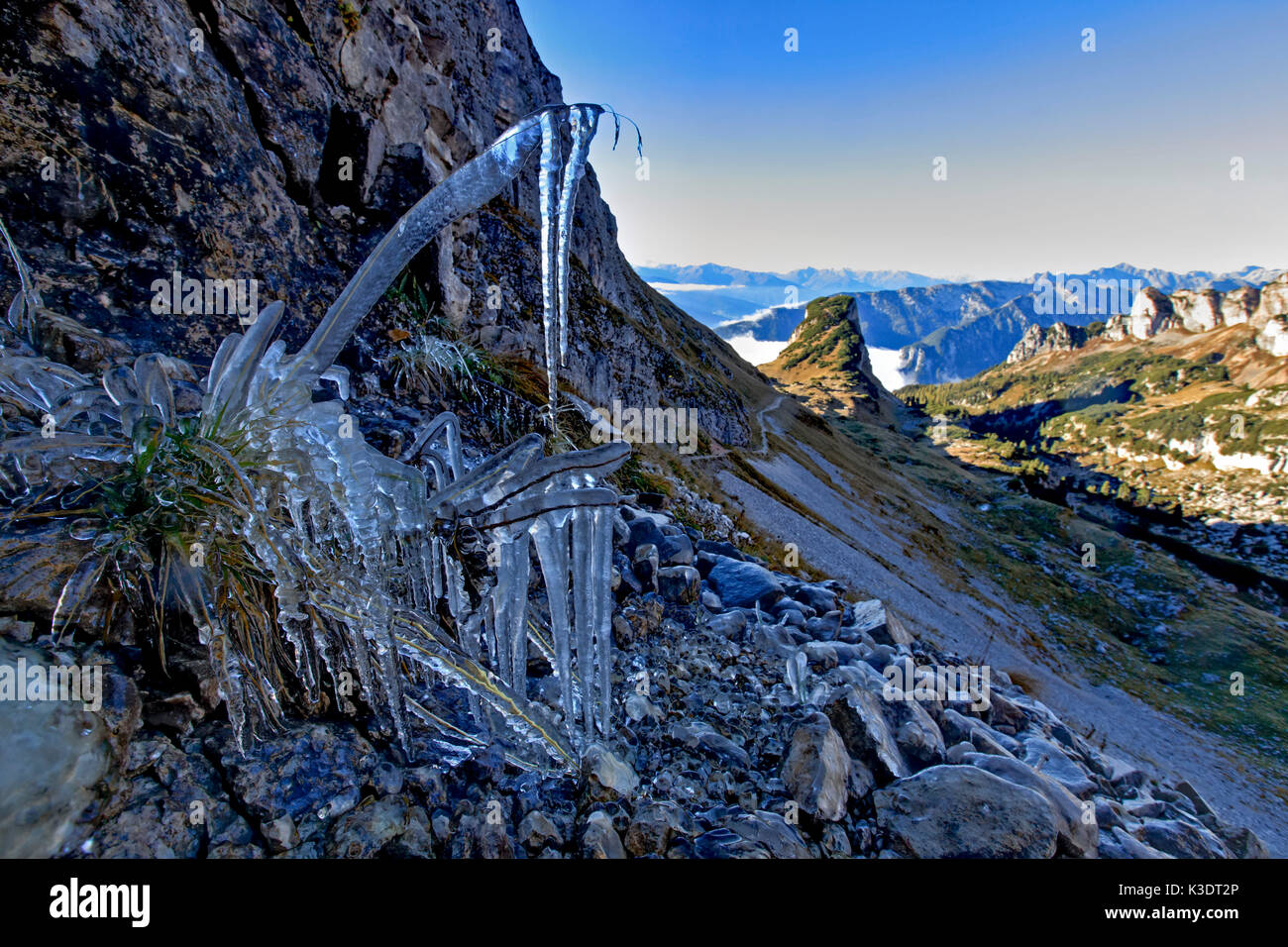 Austria, Tyrol, Rofan, Rofangebirge, Hochiss, icicle Stock Photo - Alamy
