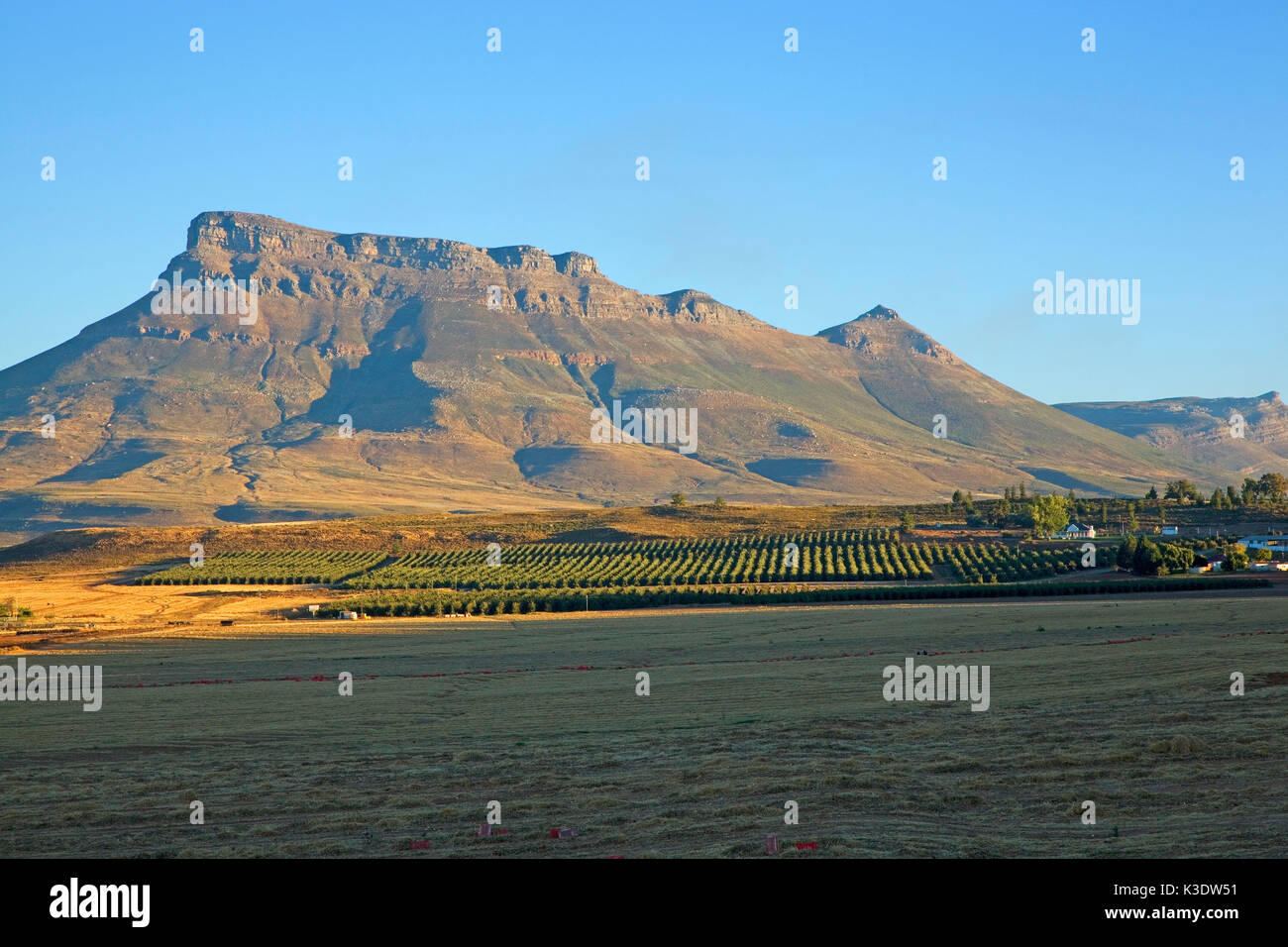 Africa, South Africa, west cape, western cape Stock Photo - Alamy