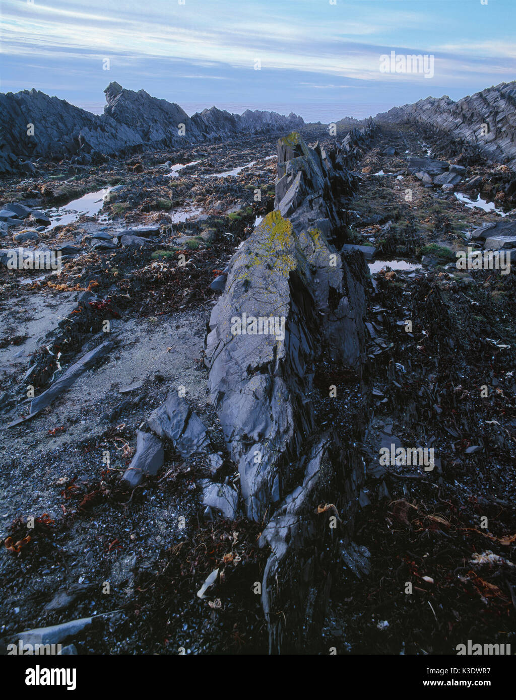 Sea of barents hi-res stock photography and images - Alamy