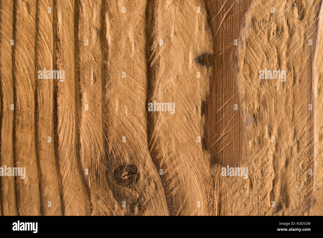 Beech Texture