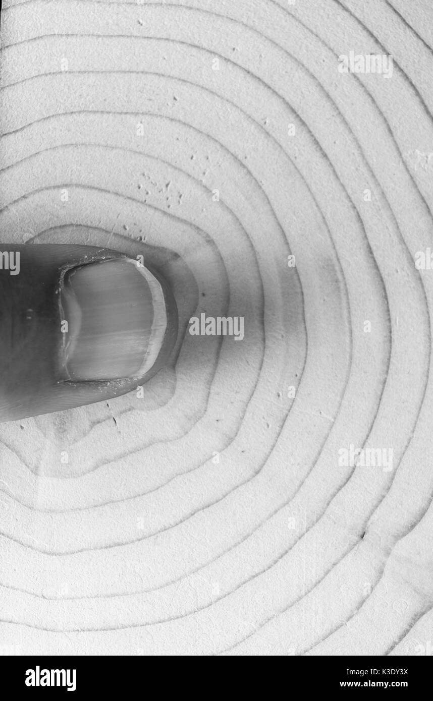 Tree ring concept Black and White Stock Photos & Images - Alamy