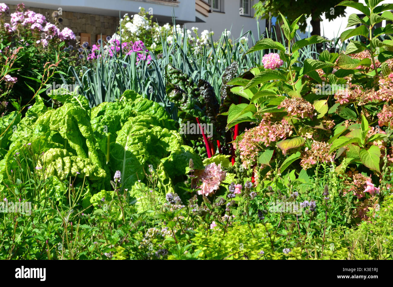 Rural idyll, cottage gardens, biological cultivation Stock Photo - Alamy