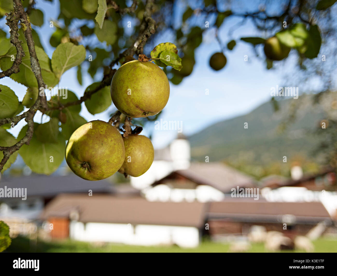 Detailed scenery hi-res stock photography and images - Alamy