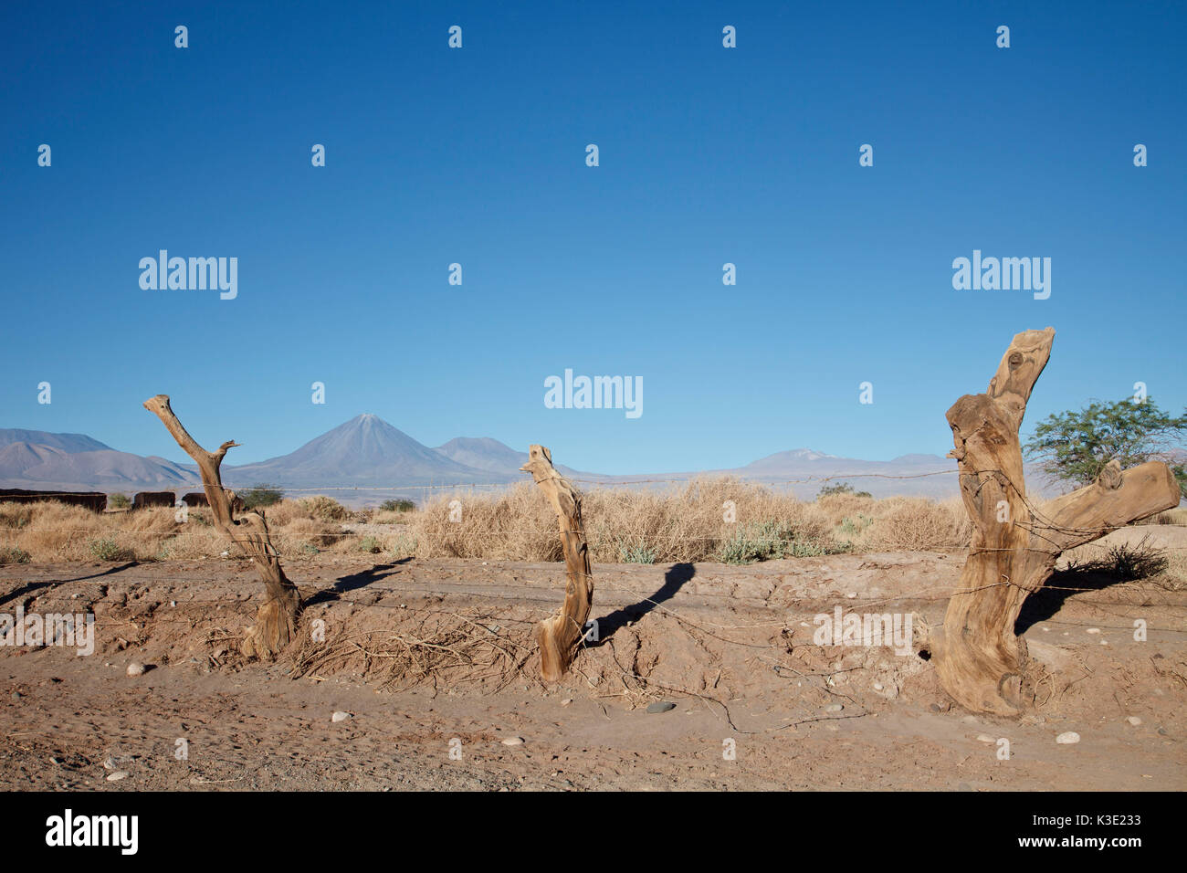 Chile, San Pedro de Atacama, volcano Licancabur, fence Stock Photo - Alamy