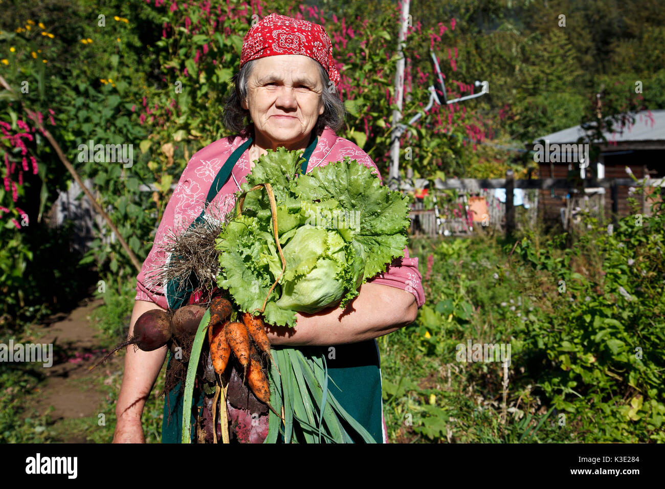 Mapuche chile agriculture hi-res stock photography and images - Alamy