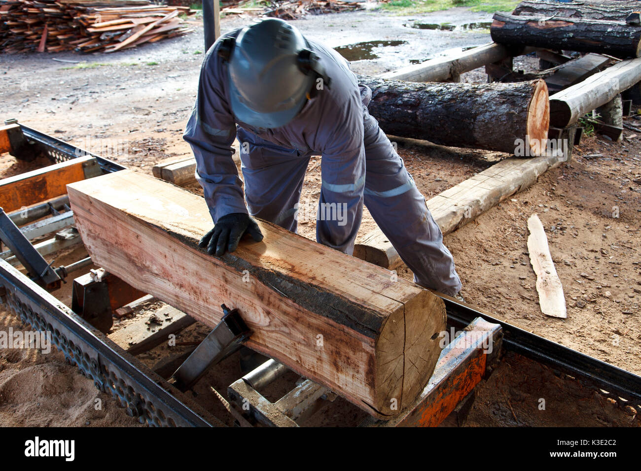 Chile, Araucania, Curacautin, Mapuche, Fair Trade, wood, saw mill ...