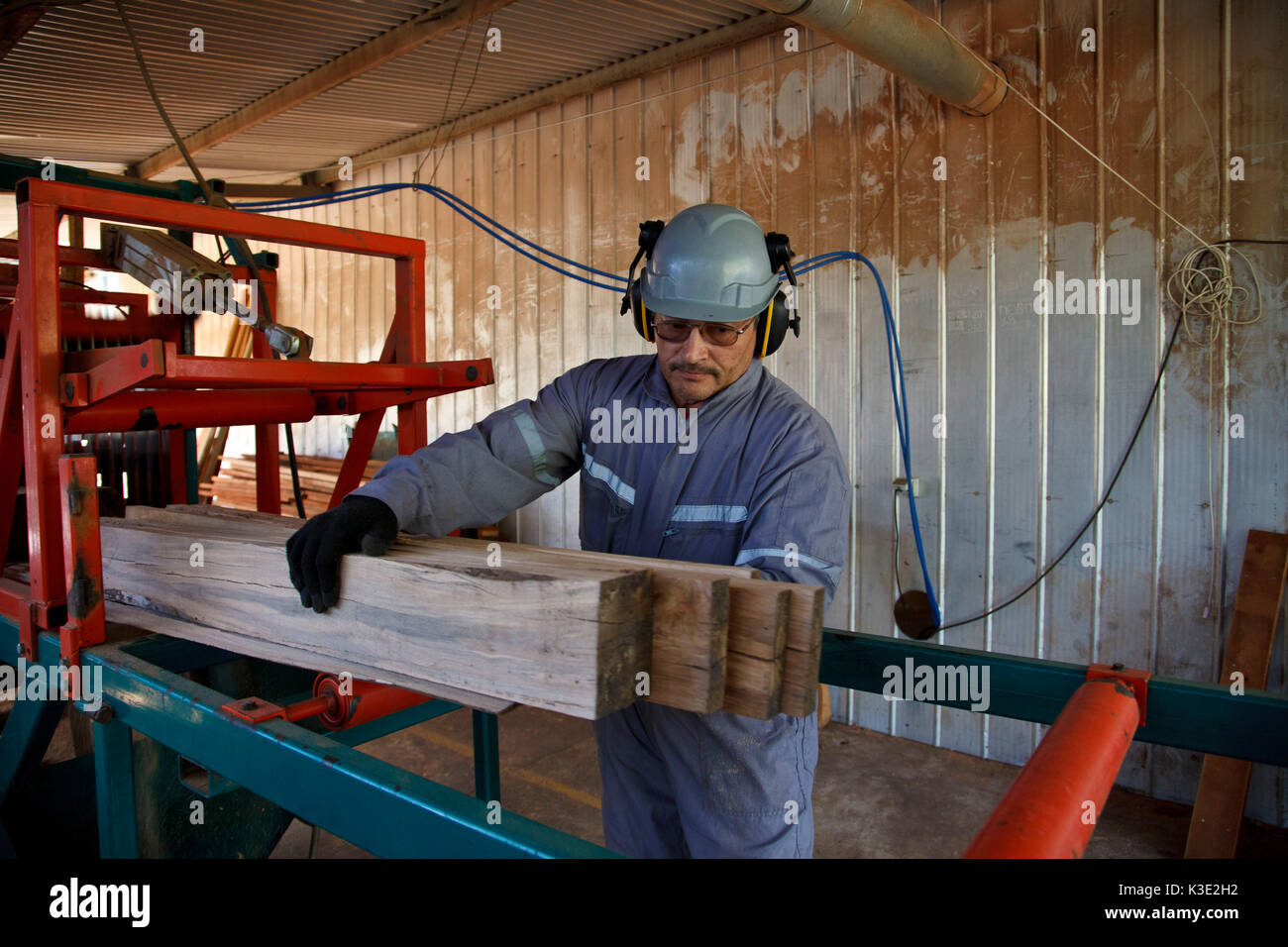 Chile, Araucania, Curacautin, Mapuche, Fair Trade, wood, saw mill ...