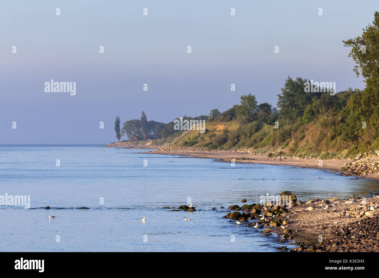Steep coast and the baltic sea in dahme hi-res stock photography and ...