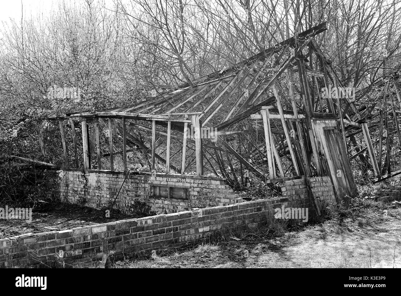 Rundown Kidby Nurseries, Little Clacton, Essex, in a state of decline ...