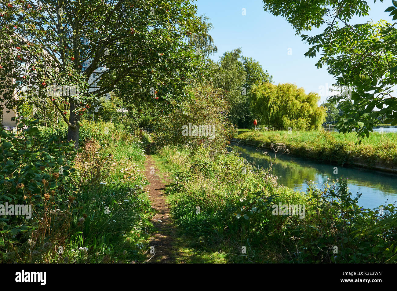 The New River Path at Woodberry Down, London UK Stock Photo - Alamy