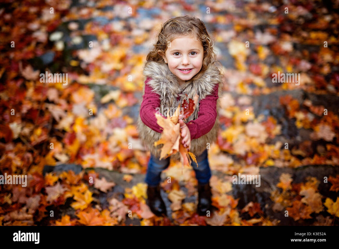 Adorable little girl in a autumn forest Stock Photo - Alamy
