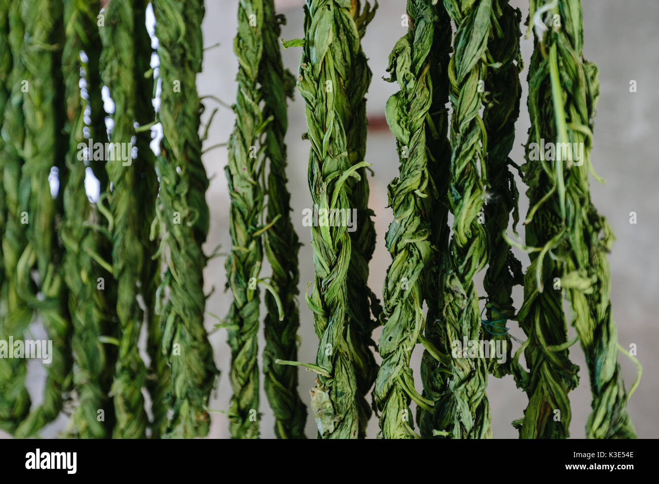 Aveluk horse sorrel dried Stock Photo - Alamy