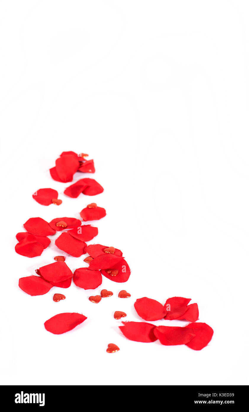 a trail of rose petals Stock Photo - Alamy