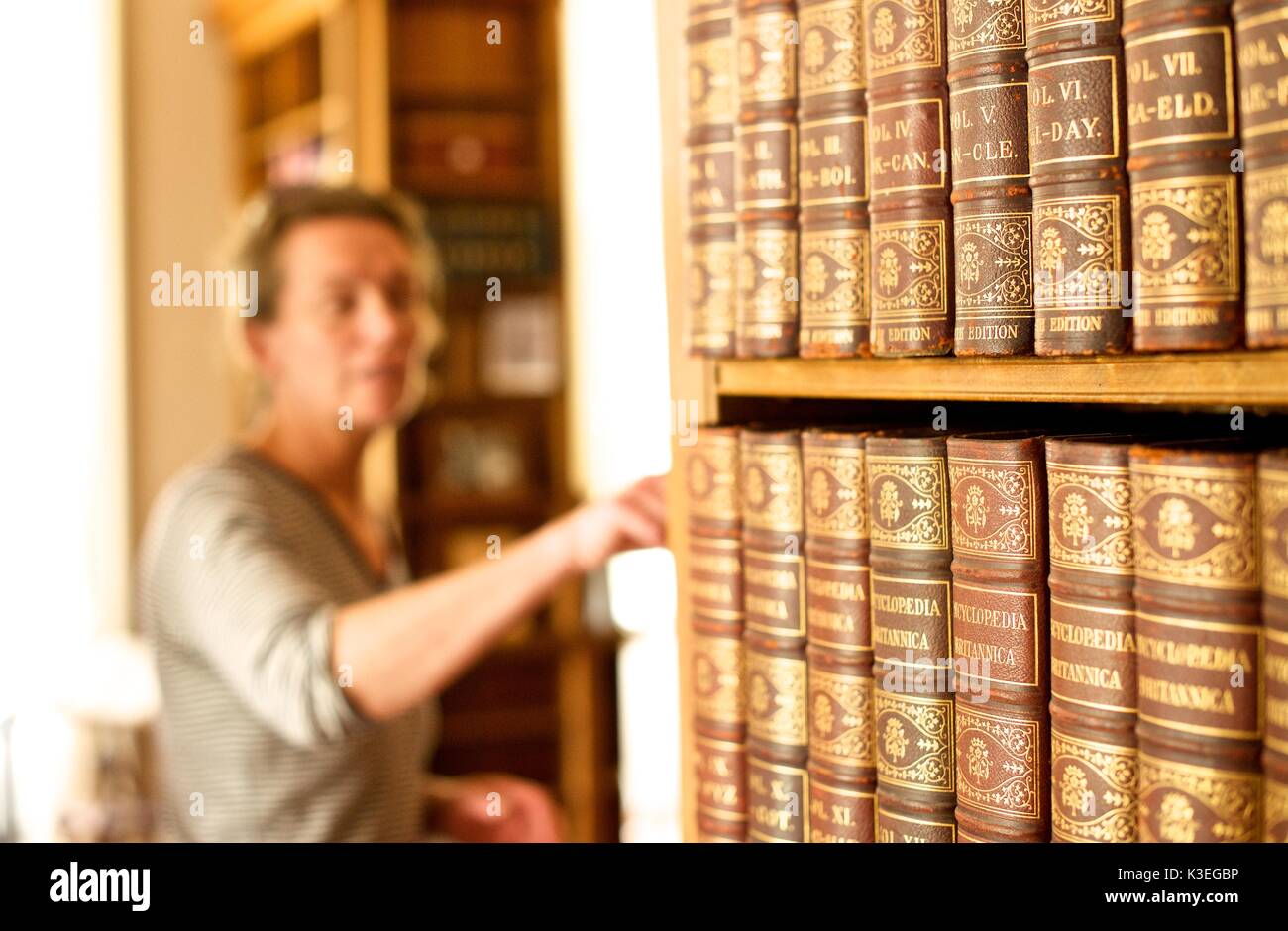 Killerton Devon Interior High Resolution Stock Photography and Images ...