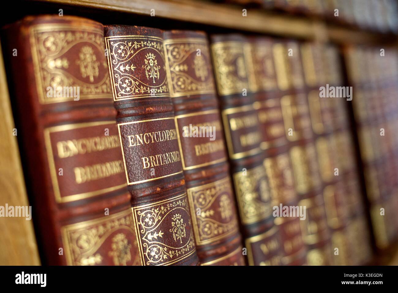 Killerton Devon Interior High Resolution Stock Photography and Images ...