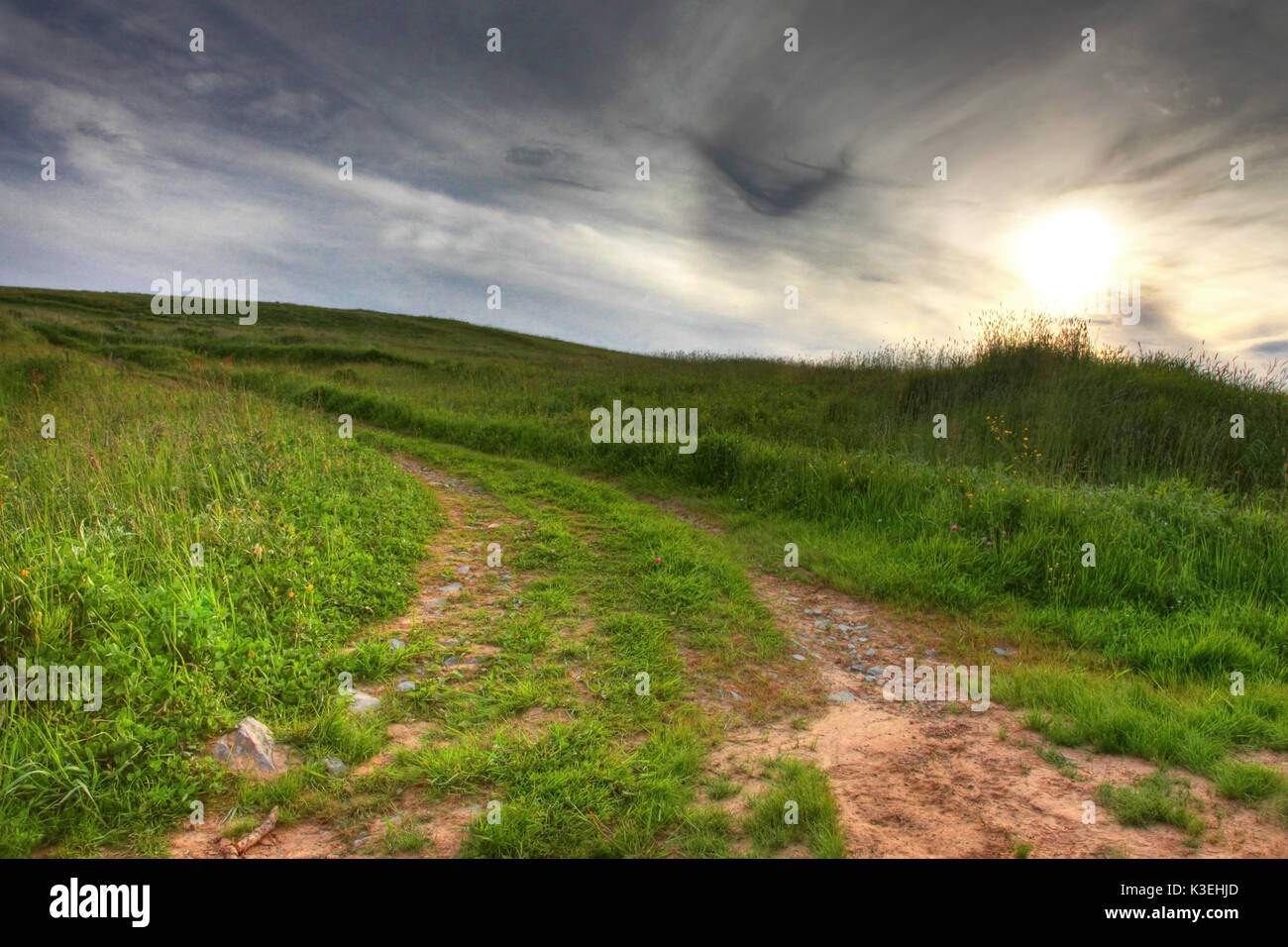 grassy path up hill Stock Photo - Alamy
