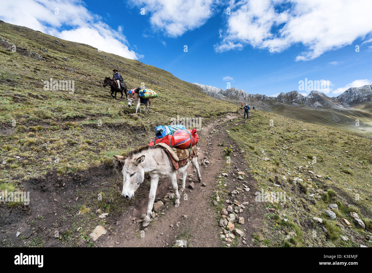 Trekking along the Huayhuash path, Peru Stock Photo - Alamy