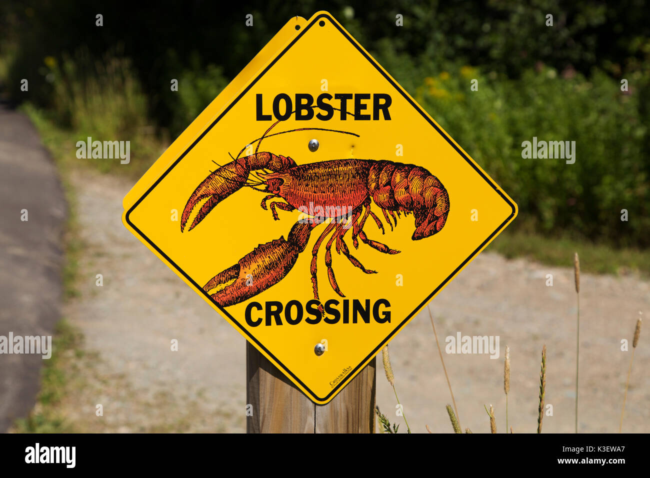Lobster crossing sign at Alma in New Brunswick, Canada. Seafood is a ...