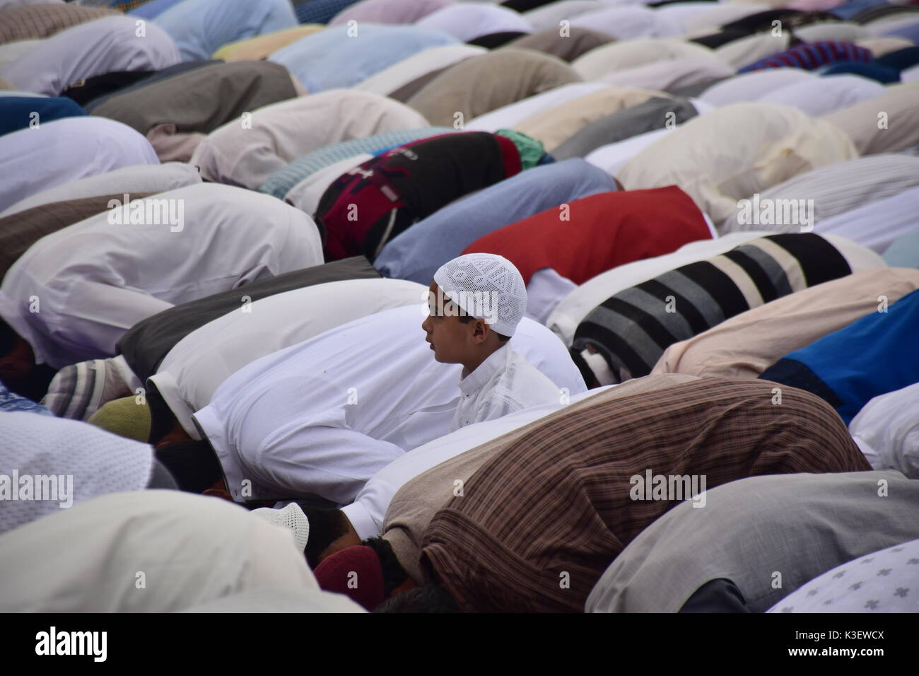 Prostation High Resolution Stock Photography and Images - Alamy