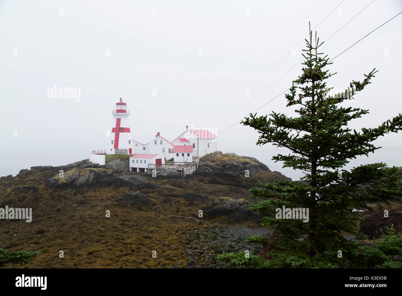 Head Harbour East Quoddy Lightstation on Campobello Island in New ...