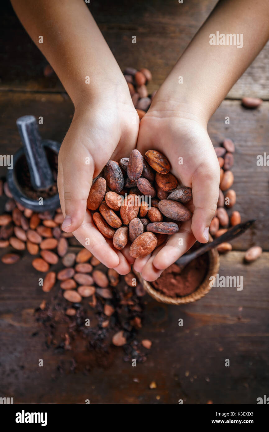 Hand holds cocoa beans, close up shot Stock Photo - Alamy
