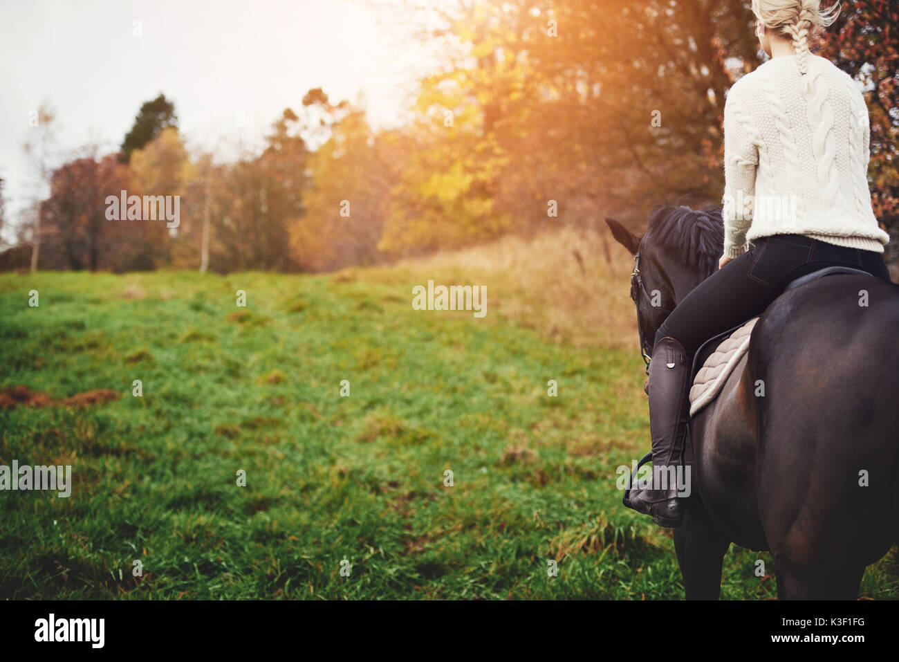 Young woman in riding gear sitting in a saddle on a chestnut horse ...