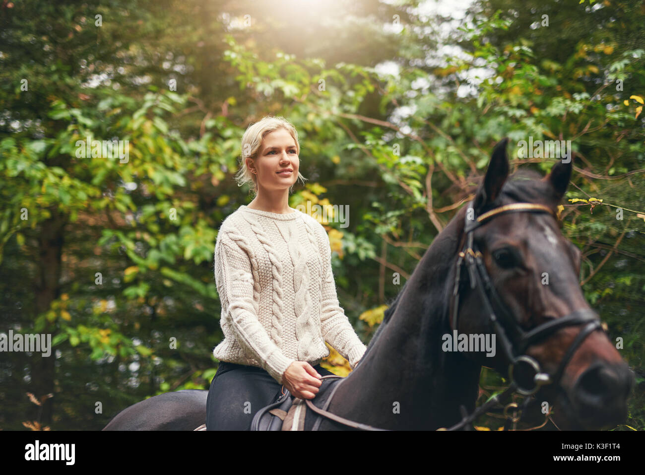 Portrait of a woman in the park riding a horse Stock Photo - Alamy