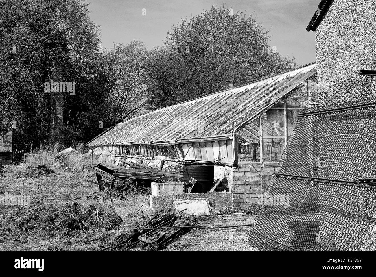 Rundown Kidby Nurseries, Little Clacton, Essex, in a state of decline ...