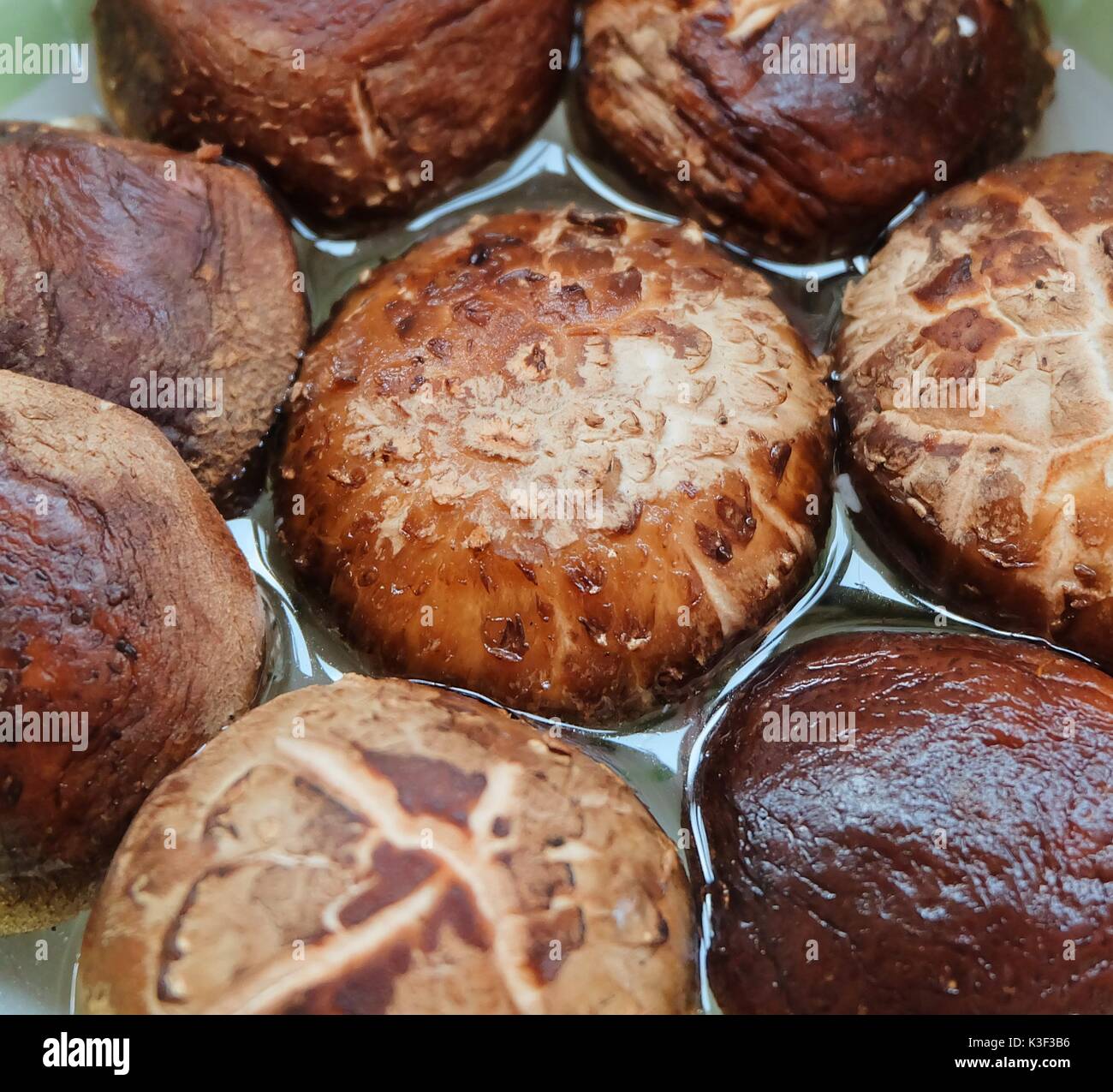 Lentinula Edodes High Resolution Stock Photography and Images - Alamy