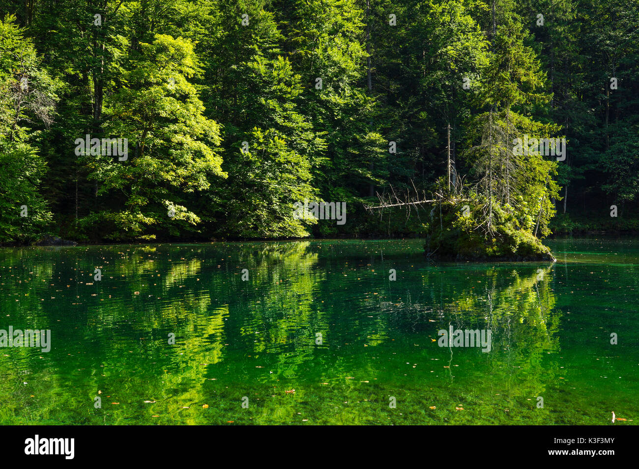 The Badersee lake near Grainau, Garmisch-Partenkirchen, Werdenfels ...