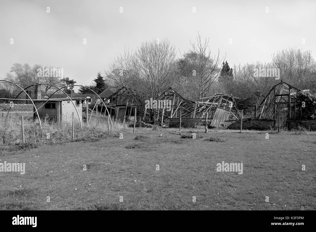 Rundown Kidby Nurseries, Little Clacton, Essex, in a state of decline ...