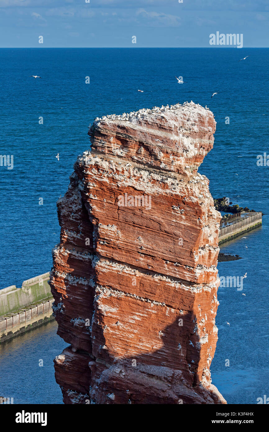 Tall anna on the island helgoland hi-res stock photography and images ...