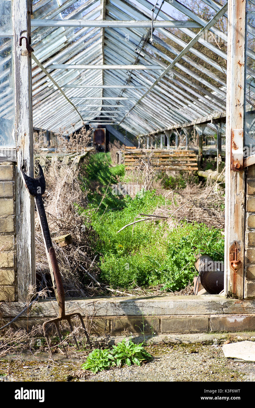 Rundown Kidby Nurseries, Little Clacton, Essex, in a state of decline ...