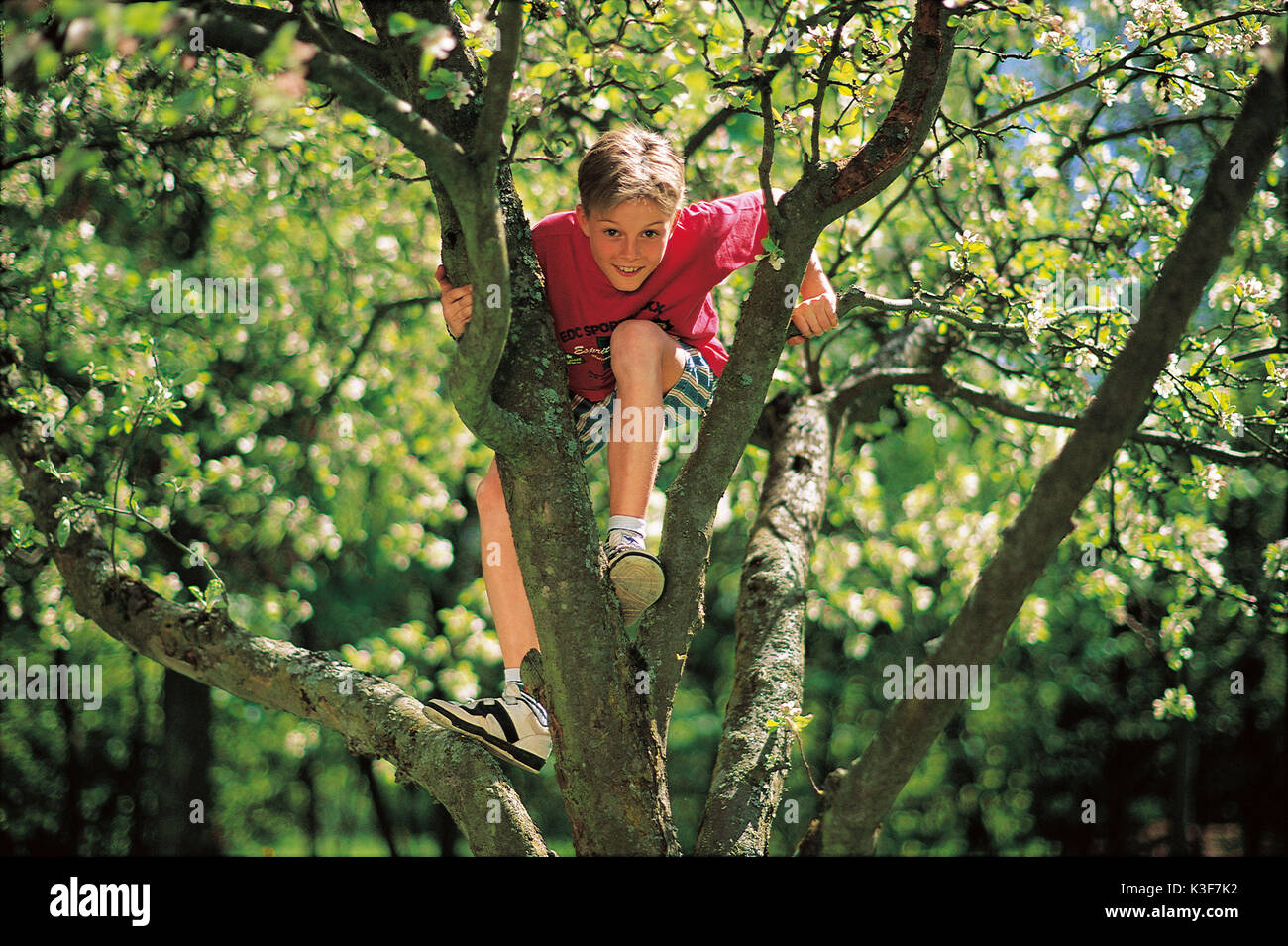 Boy apple head hi-res stock photography and images - Alamy