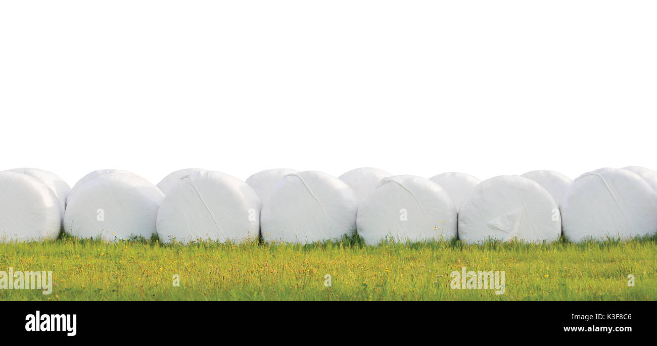 Wrapped stacked silage bales row, isolated round white plastic film hay ...