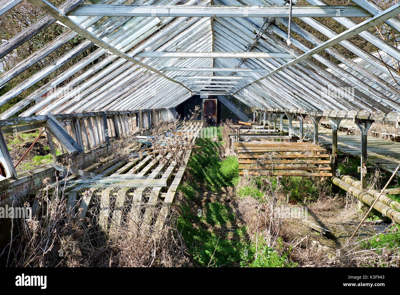 Rundown Kidby Nurseries, Little Clacton, Essex, in a state of decline ...