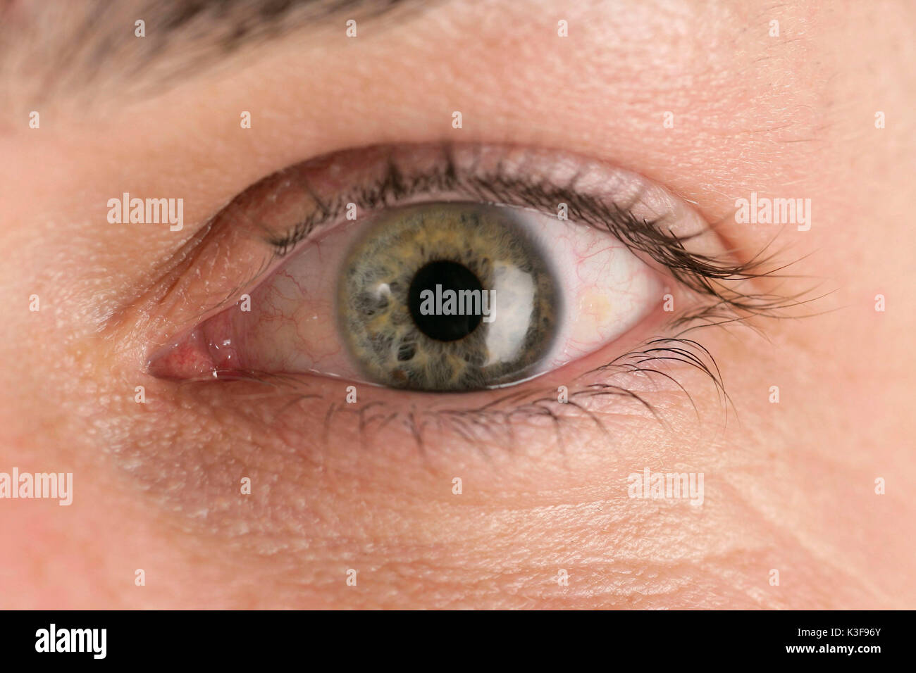 Medium close-up of a male eye Stock Photo - Alamy
