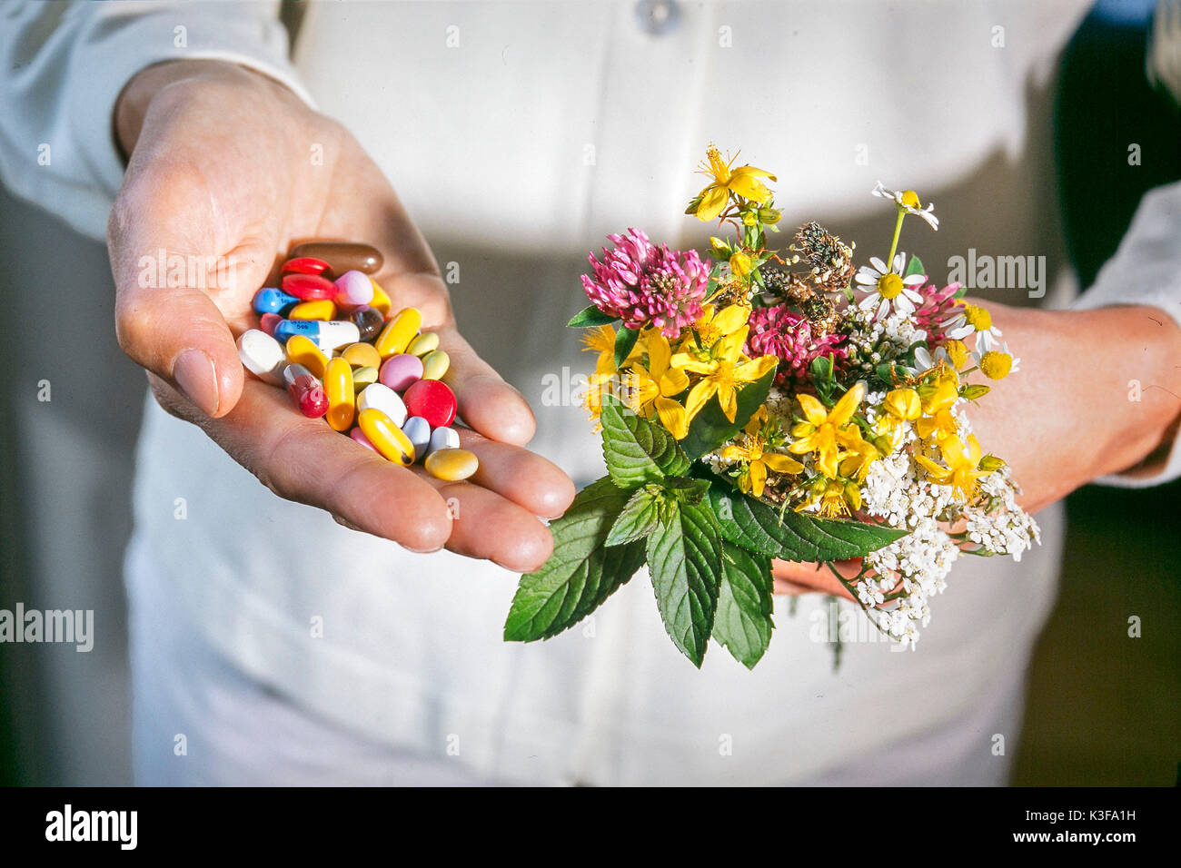Conflict in nature hi-res stock photography and images - Alamy