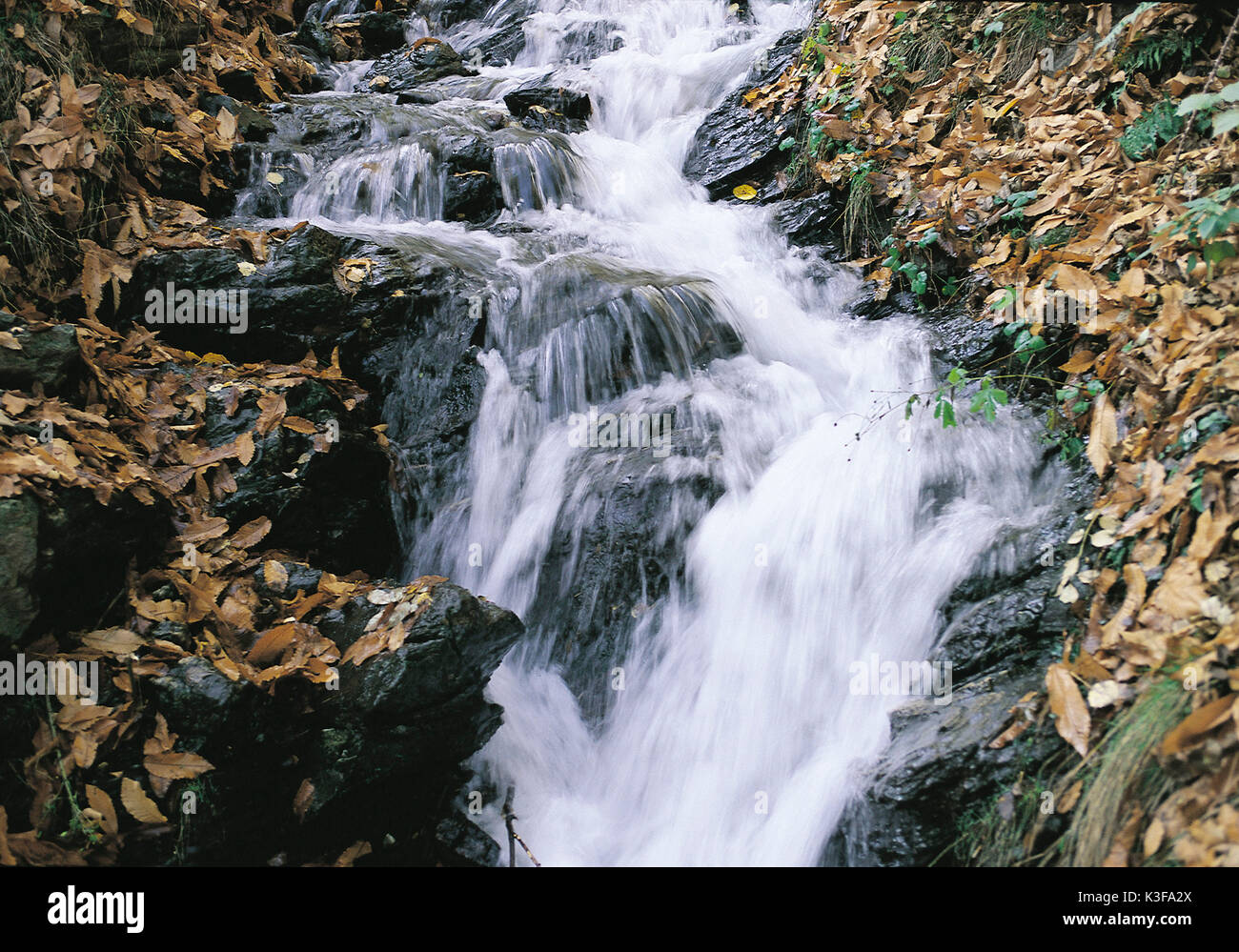 Mountain brook in autumn Stock Photo - Alamy