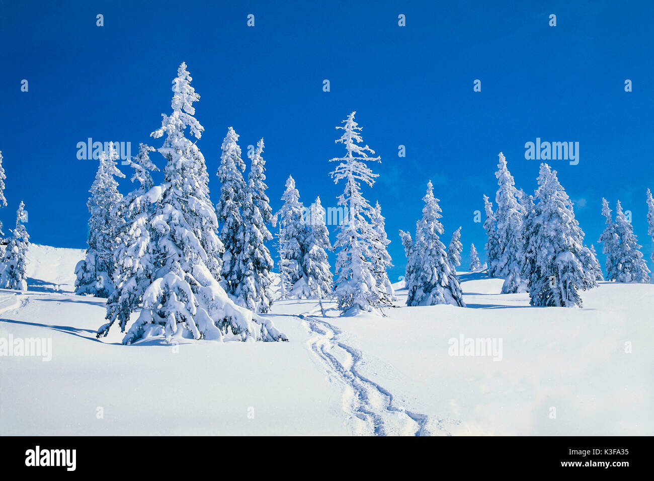 Christmas scenery hi-res stock photography and images - Alamy